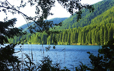 Bosque y lagos wallpapers