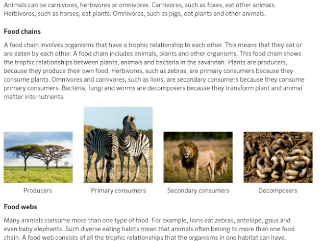 BILINGÜE ZARAICHE: 6º Primaria. N.Science.