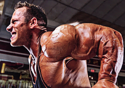 Knights of Bodybuilding: MICHAEL LIBERATORE