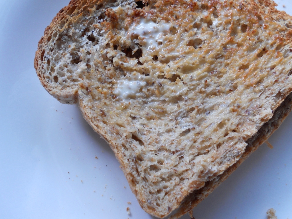 Snacking Squirrel: Buttered Toast and Broken Glass