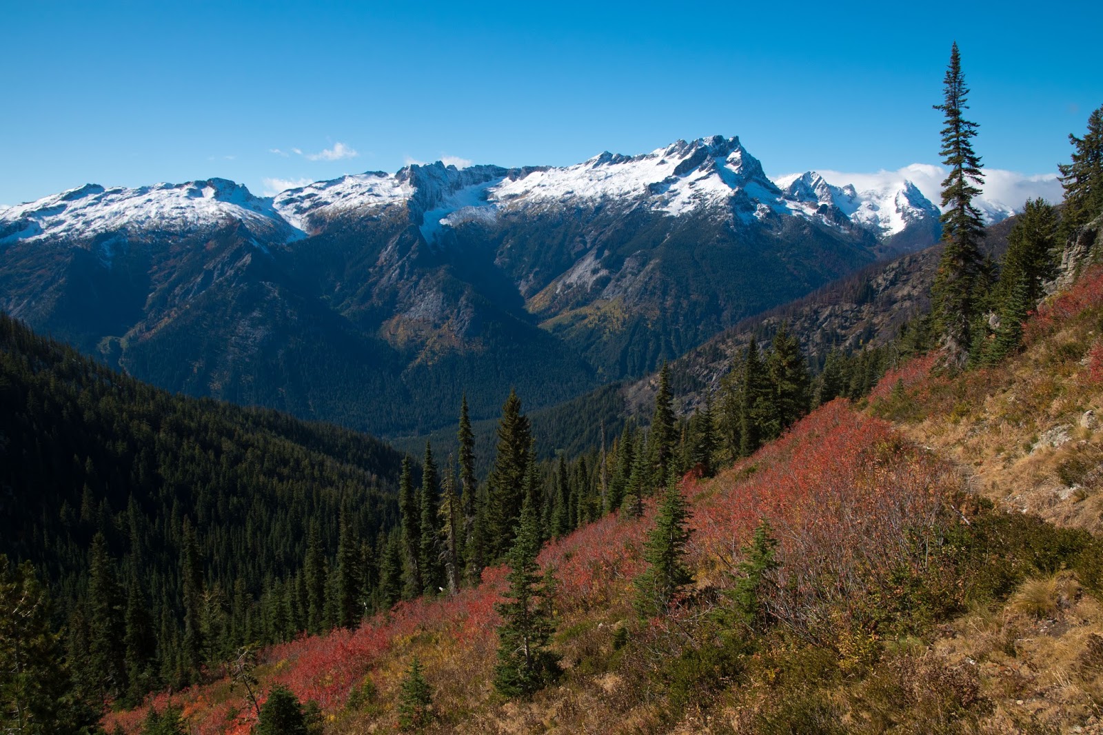Hiking Shenandoah: Carne Mountain