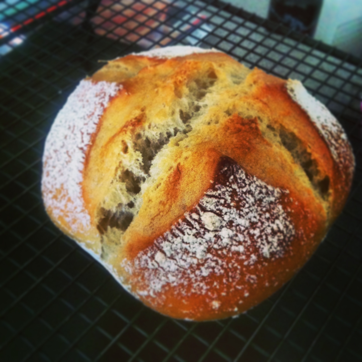 The Penny Pinch: "Artisan Bread in 5 Minutes a Day"