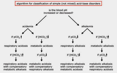 USMLE COMLEX Study Guides : First Aid Renal Physiology Part ll