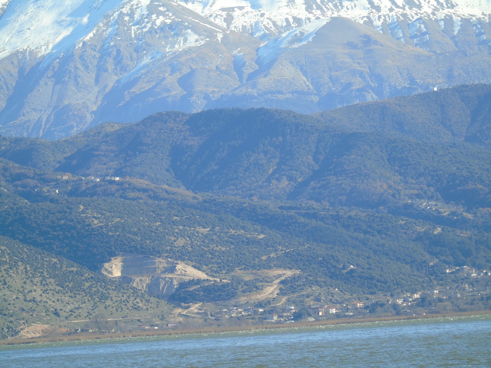 shells and bells flowers and showers
