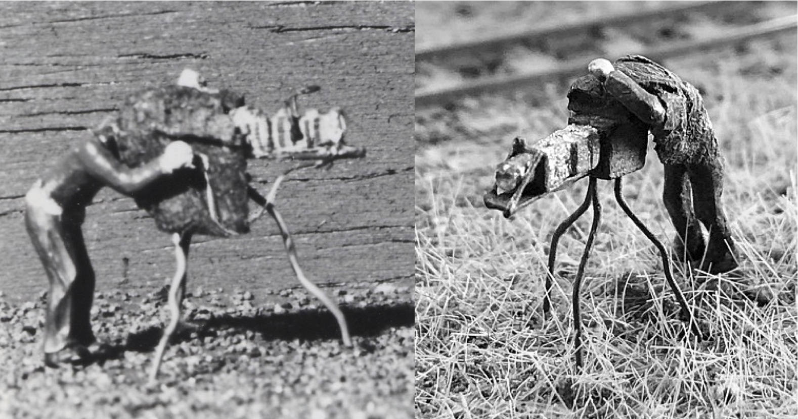 30Squares: ELM Epilogue: The Case of the Photographer's Doppelganger ...