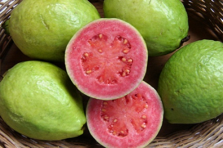 Importance Of Guava Herbal Medicine | Medicinal herbs plants