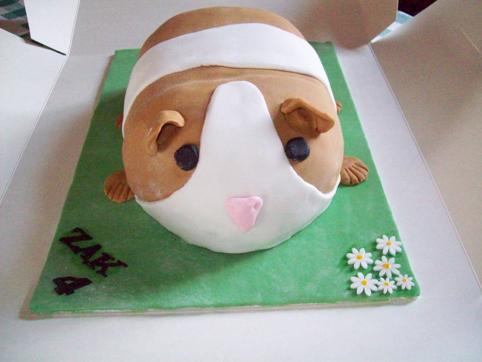Cakes By Nicola: 3d guinea pig cake