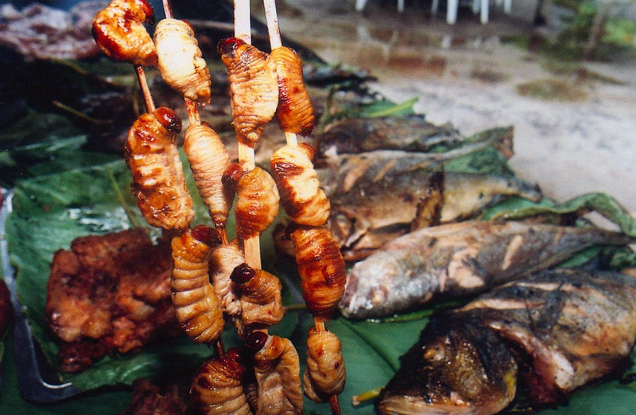 PALADAR ABSOLUTO: JAPÓN EN EL AMAZONAS : ENCUENTRO GASTRONÓMICO