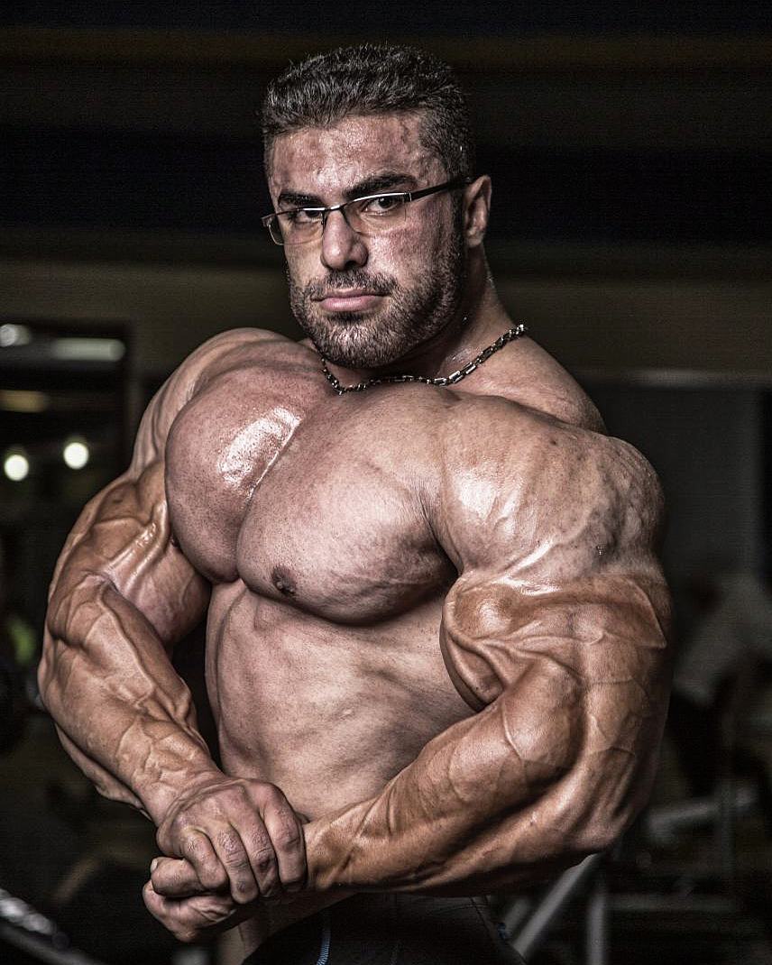 LA PERFECTION FAITE HOMME