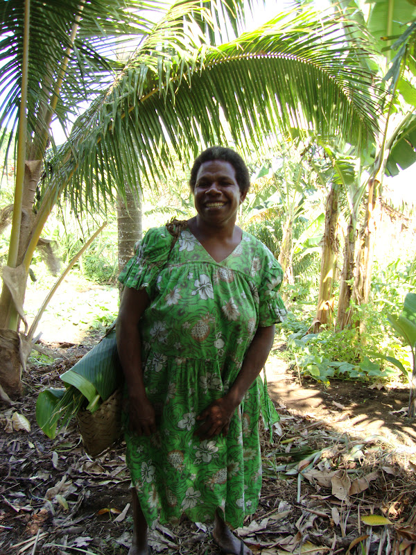 Lardo's Dream: Pictures of Lamen Bay, Epi Island, Vanuatu