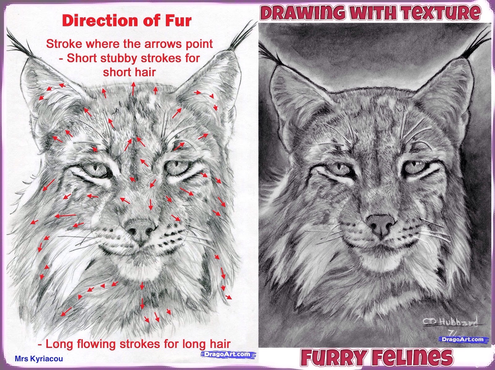 FURRY FELINES - Texture Drawing