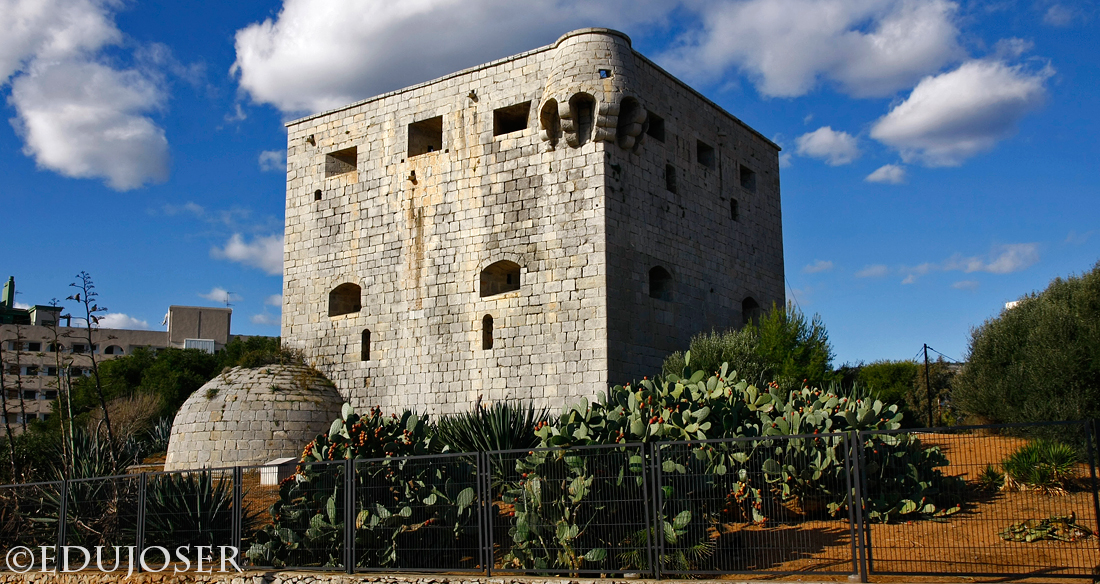 EDUJOSER: TORREÓN DEL REY, OROPESA DEL MAR (Castellón)