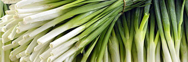 Cebolinha Verde e seus benefícios