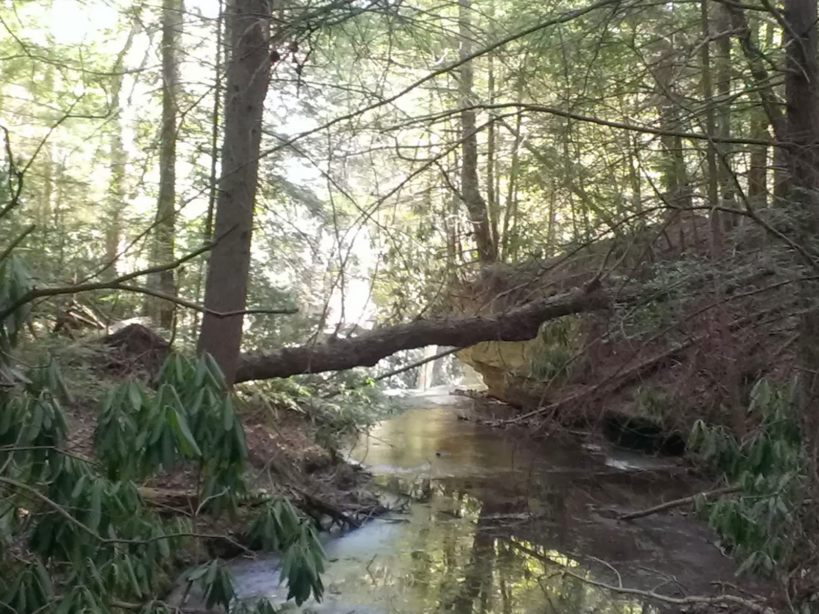 TRAVELING on a BUDGET : Northrup Falls located at Colditz Cove State ...