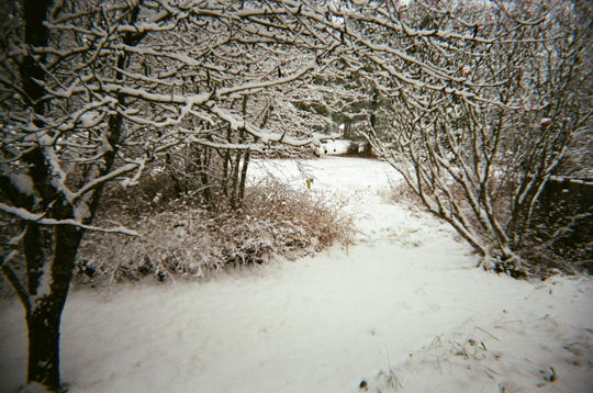 Lomography Monday: Juice Box Camera pt.2 - Lublyou
