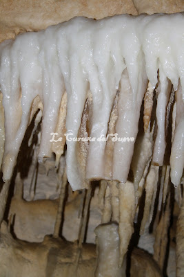 El Blog de La Curuxa del Sueve: CUEVA DE PANDO