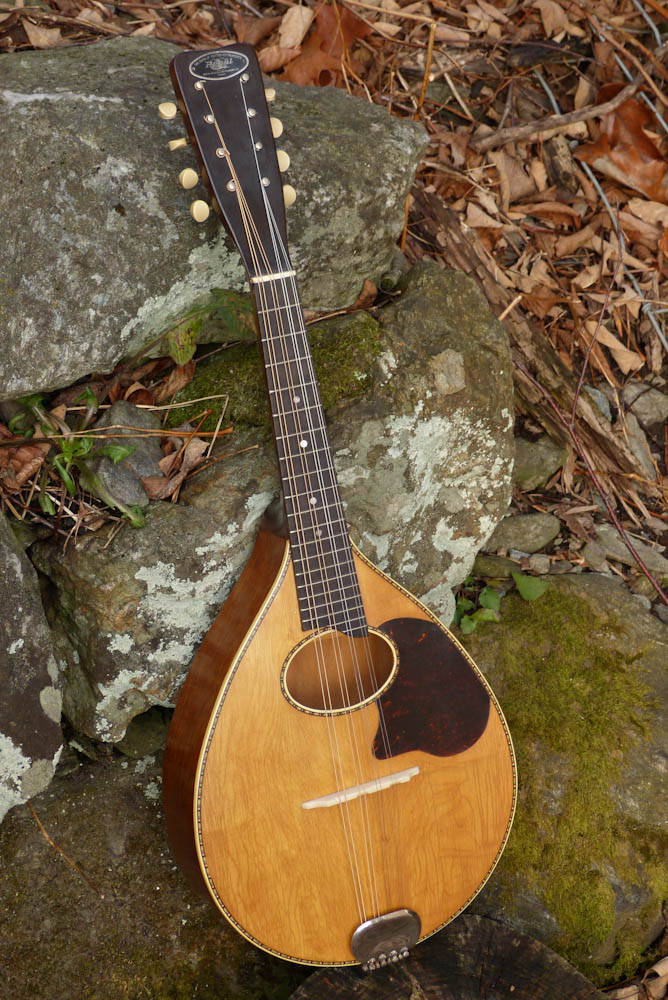 1930s Regal Flatback Mandolin