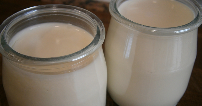 Yogures de Leche Condensada