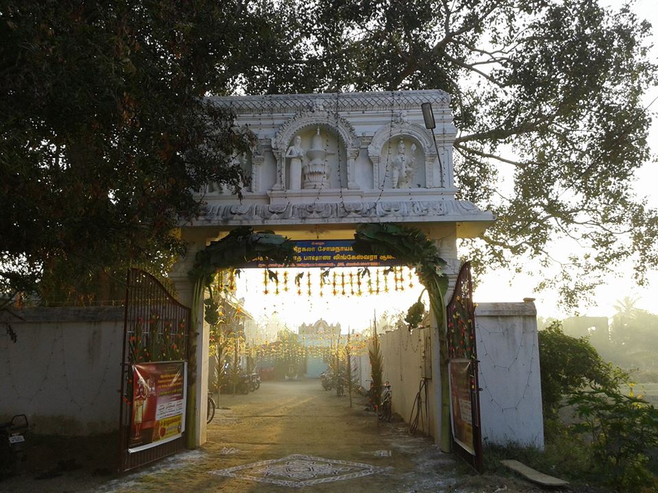 Tamilnadu Tourism: Somanatha Pashana Lingeswarar Temple, Timiri, Vellore
