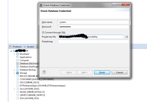 Oracle Cloud with Latest Eclipse IDE