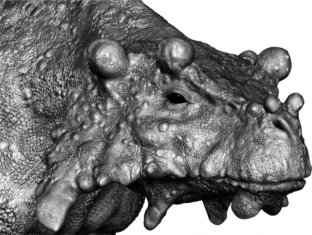 Sciency Thoughts: Pareiasaurs from the Late Permian of Niger, West Africa.