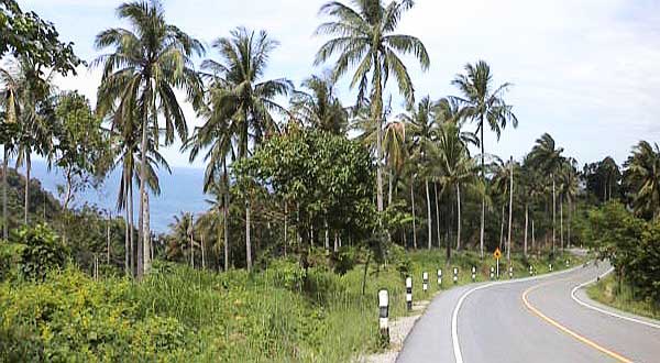 Phuket Climate | Phuket Paradise Island in Thailand Phuket Climate | Phuket Paradise Island in Thailand