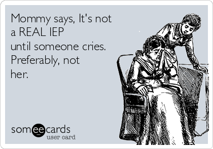 Tips for a Successful IEP Meeting! (with MEME’s!)