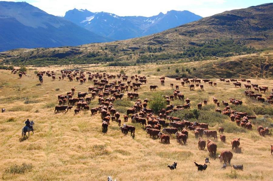 Concientizacion del pastoreo
