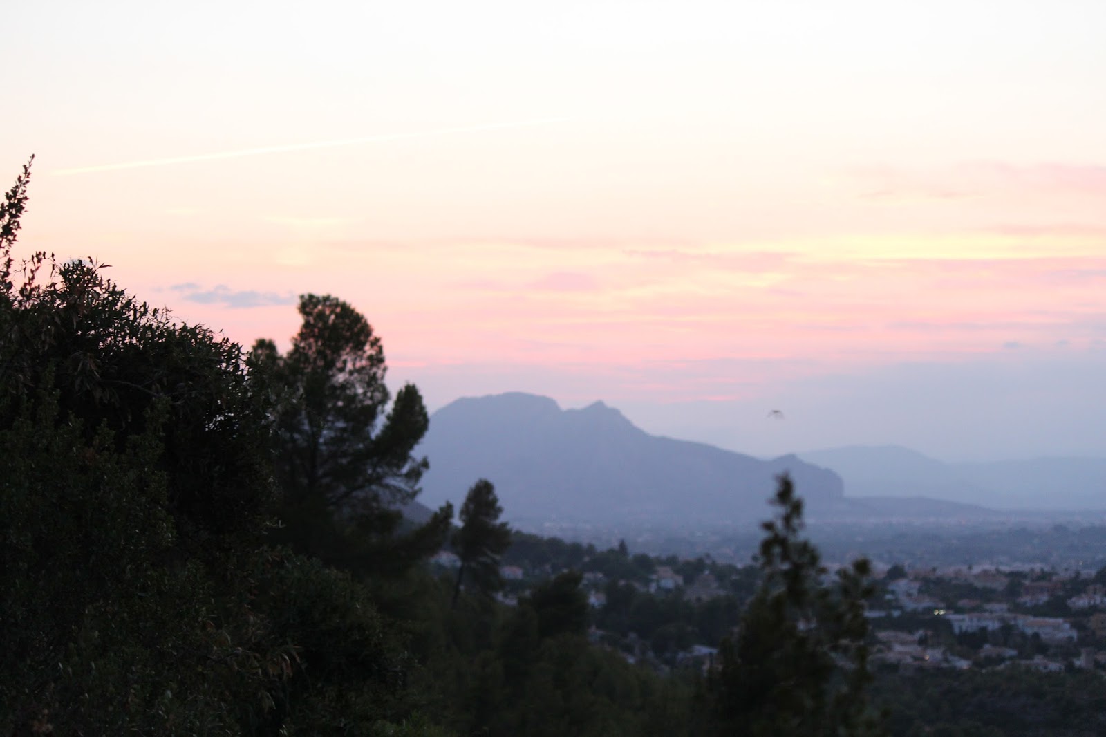 Historia y Genealogía: Parque Natural del Mongó. Denia, Alicante