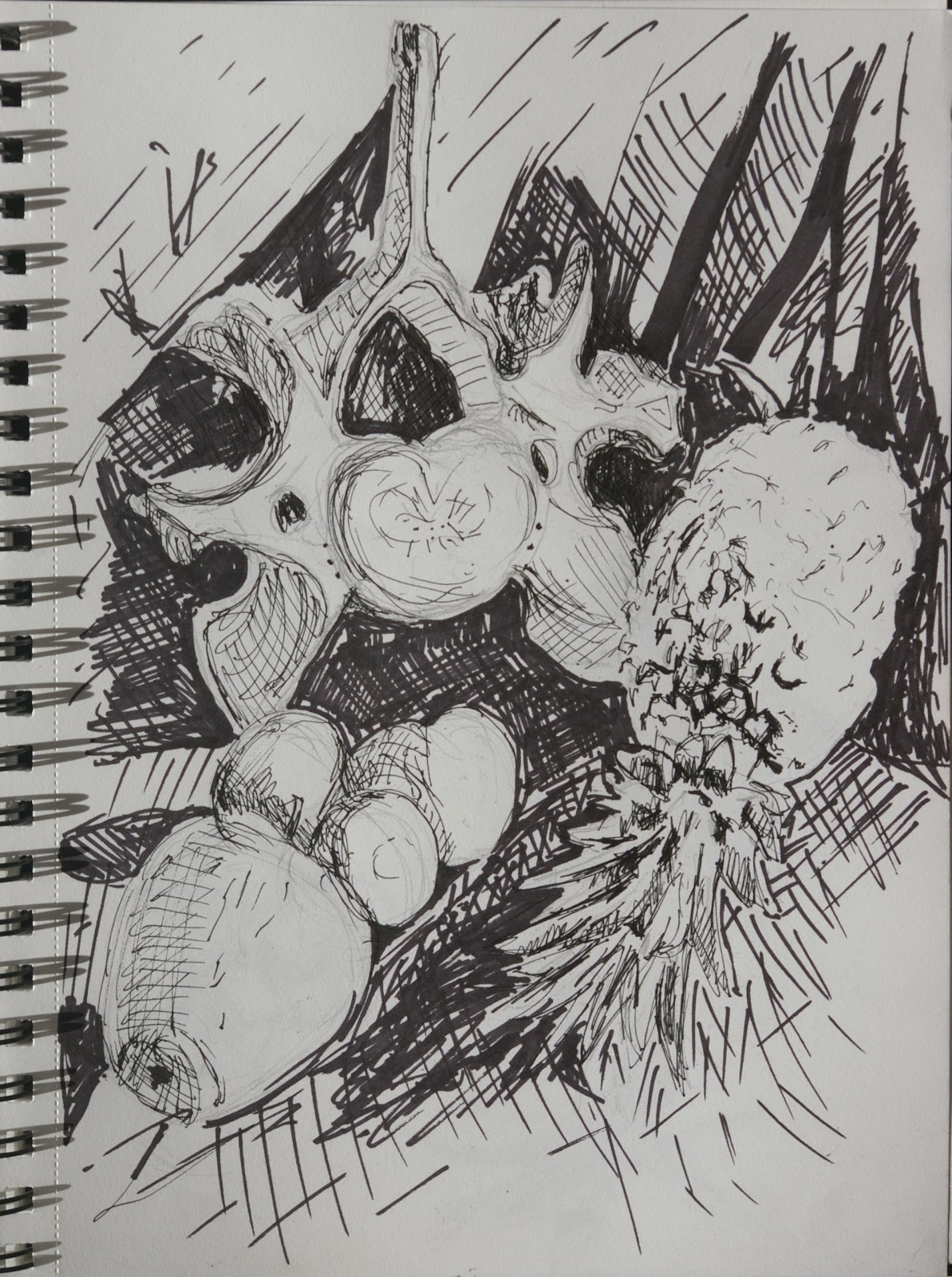 Aylish's OCA Learning Log: Assignment One: First Drawing - Natural Forms