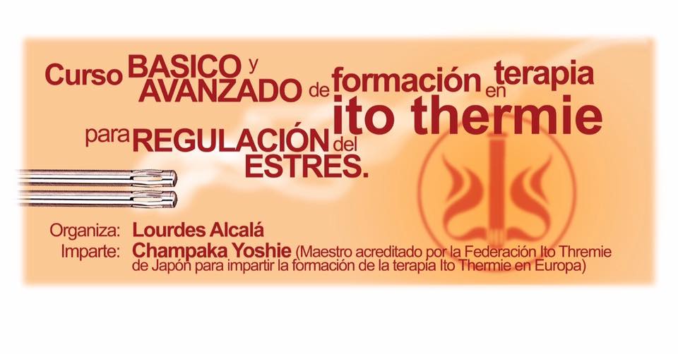 ITO THERMIE SPAIN: MAYO 2016 FORMACION EN ESPAÑA ITO THERMIE REGULACION ...