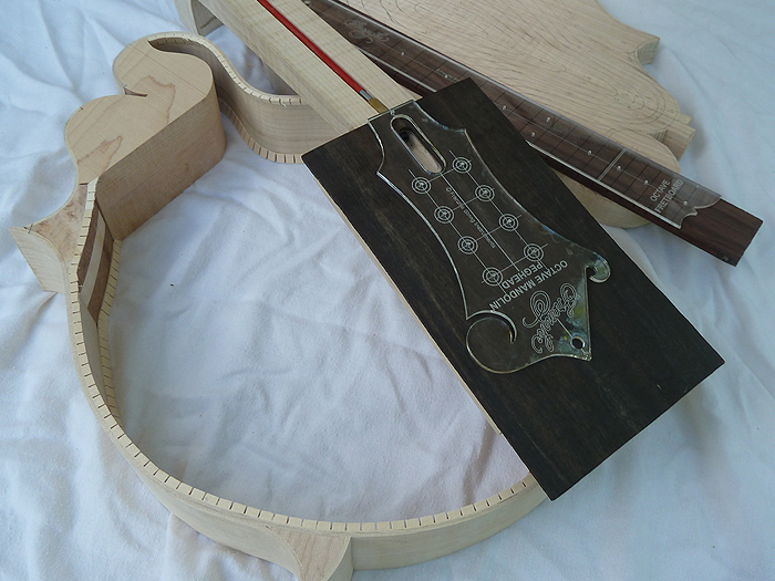 Franzke String Instruments: F- Style Octave Mandolin Prototype