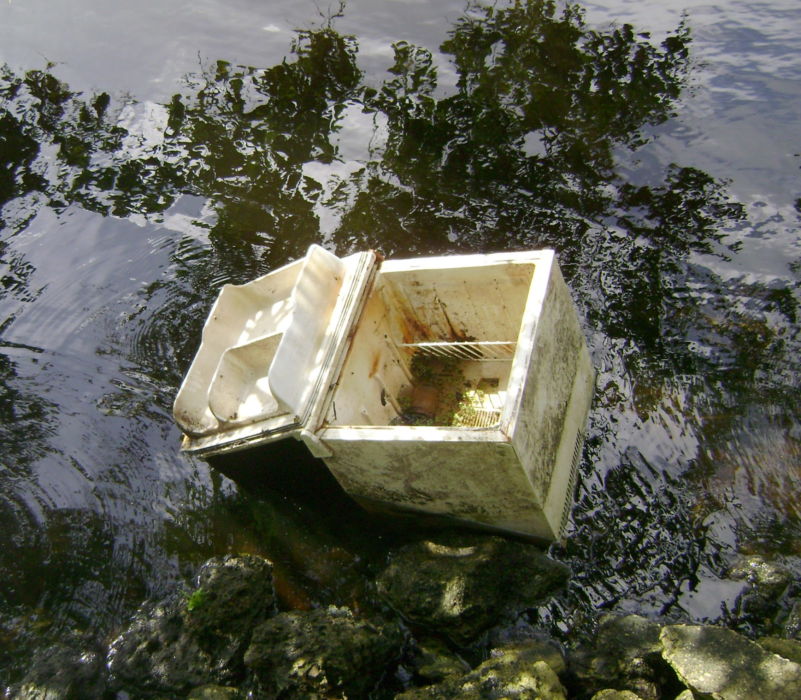 Seminole Heights Pocket Swamp: Trash and treasures- stuff found in the ...