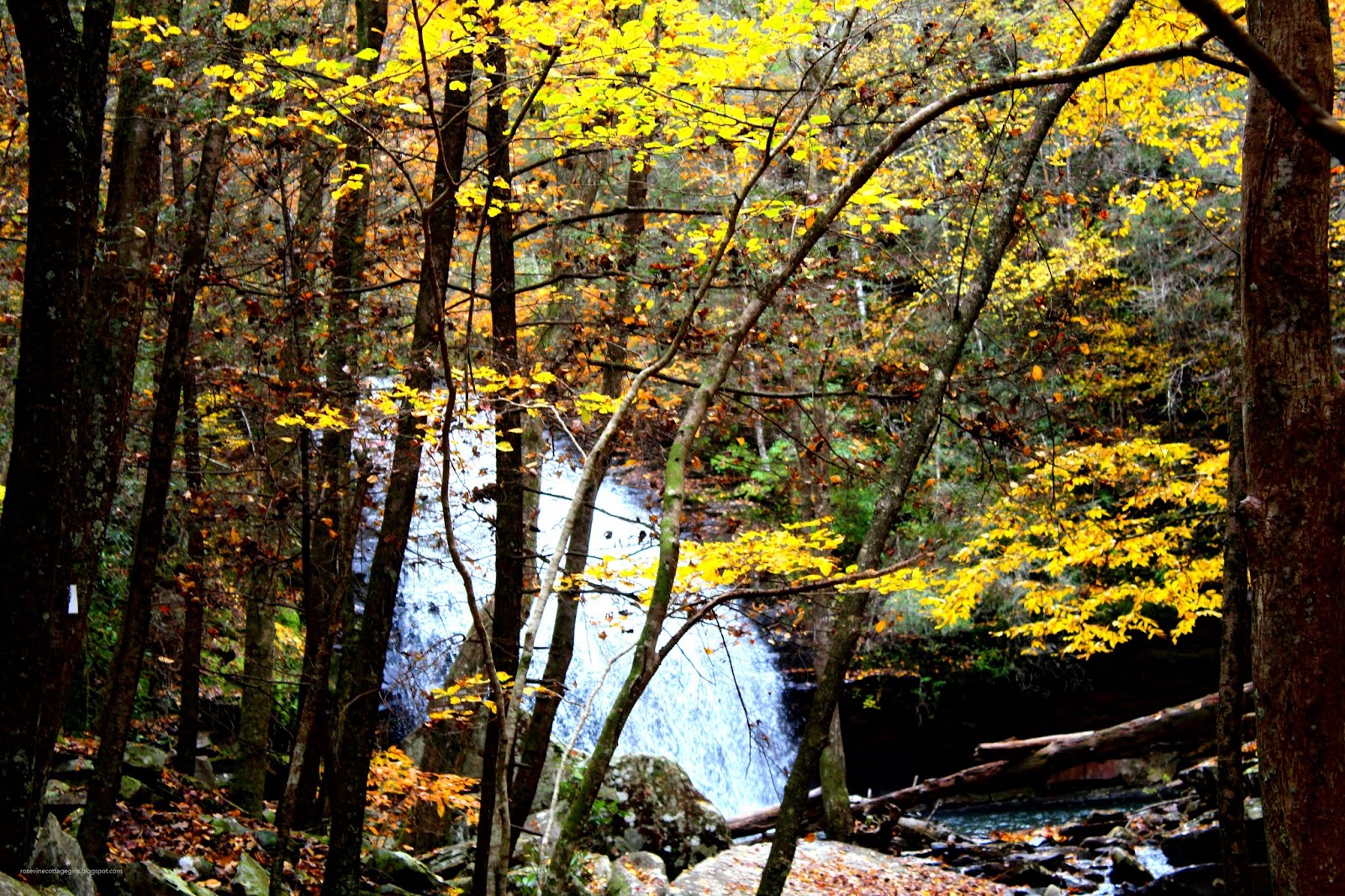 Hiking Stinging Fork Falls