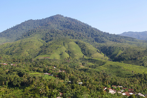 Gunung Halimun - Perumperindo.co.id