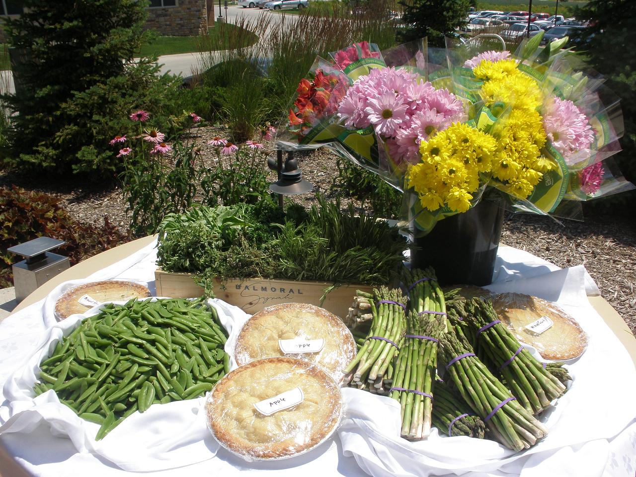 Be The Benchmark: Edgewater Earth Table