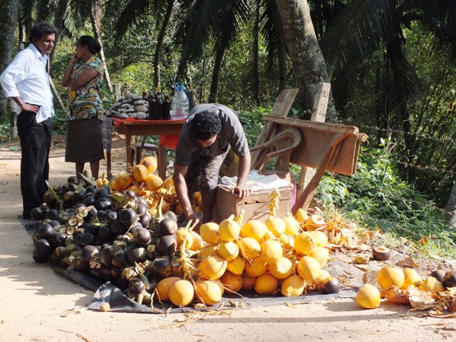 Images of Sri Lanka on blogspot.com: 'Nongu' at Kithulgala, Sri Lanka.