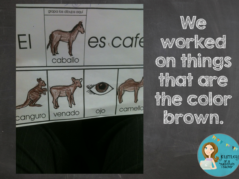 Brown Bear, Brown Bear Week! - Journey of a Substitute Teacher