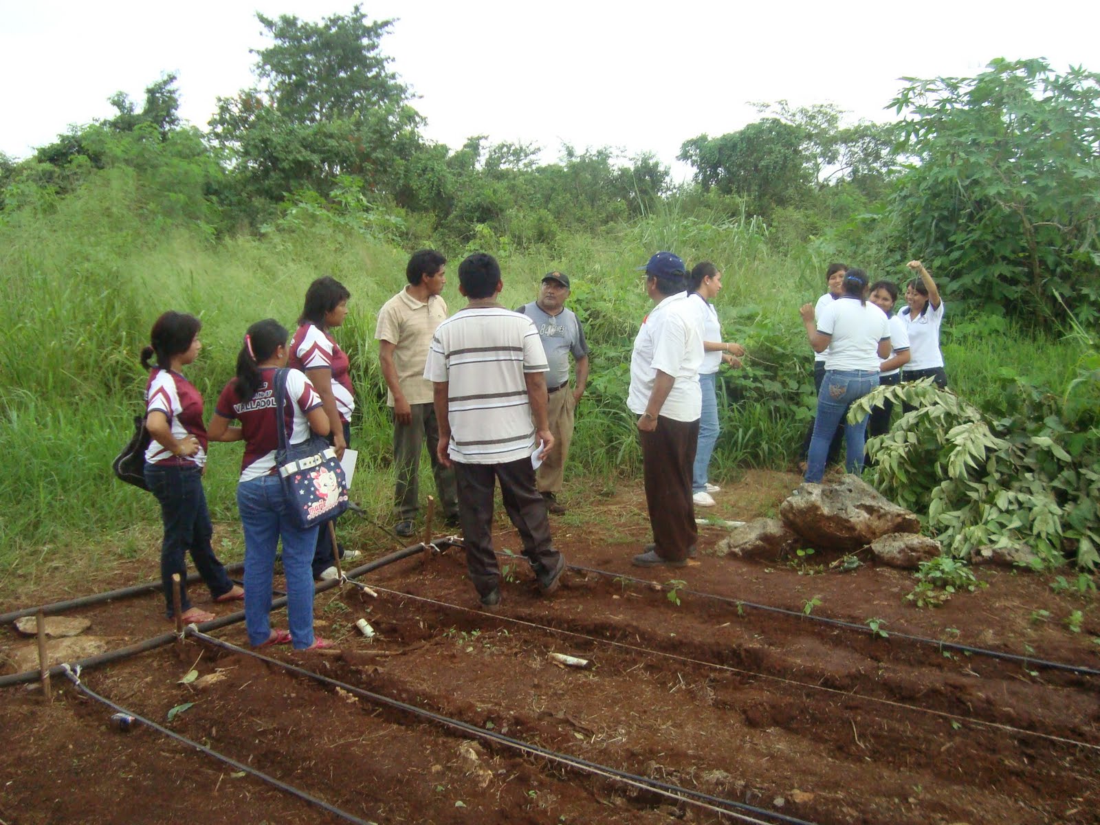 Tecnico en Desarrollo Comunitario