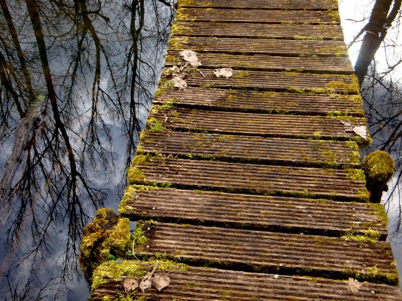 G 2 pieds: Schifflange - Am Brill (Terres Rouges, Luxembourg)