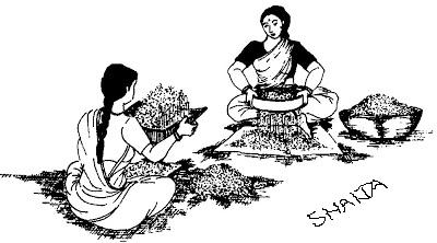 Winnowing Clipart Heart