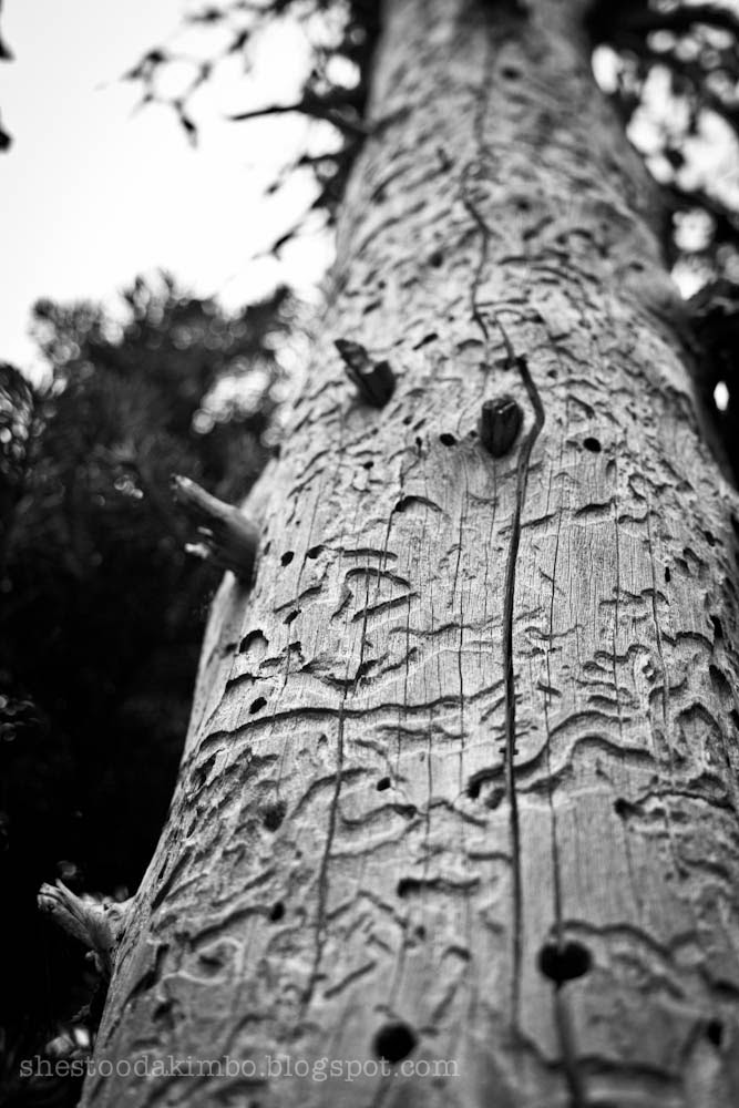 She Stood Akimbo....