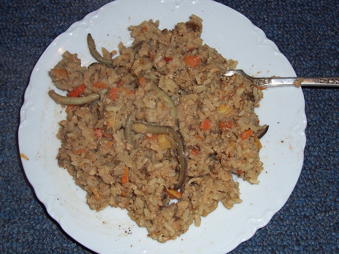 Stuart Showalter Law Blog: Earthworm Fried Rice