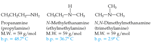 STRUKTUR DAN SIFAT FISIK SENYAWA AMINA