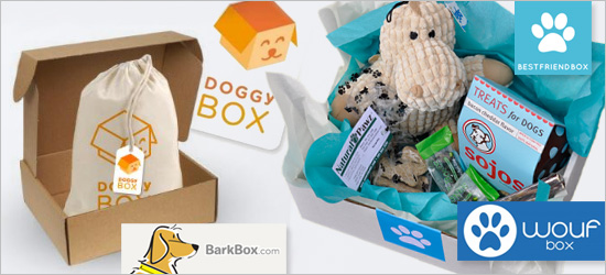 Les box pour chiens : Doggybox et Woufbox. - Woof mag' - le blog des ...