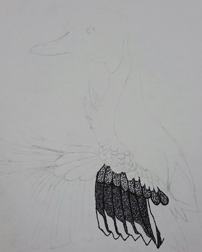 Jerdee's Art Classes: Drawing A | Stippling, Hatching, Crosshatching ...