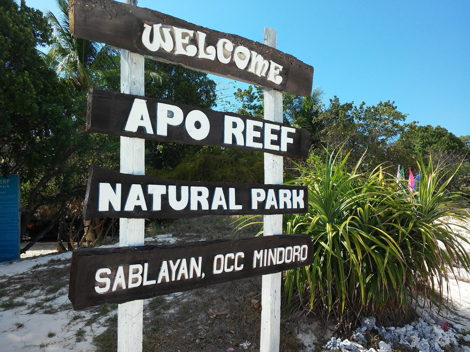 Travel Guide to Apo Reef Natural Park - moredantravels