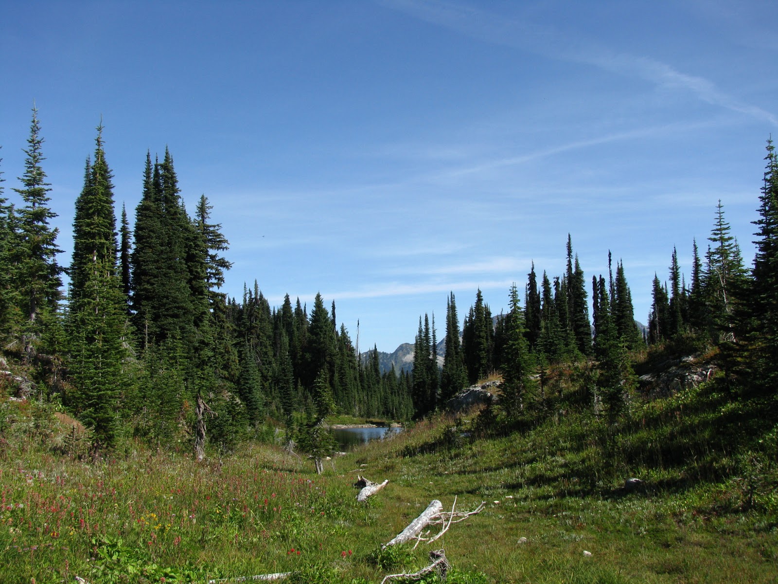 Wanderlust: Eva Lake: Revelstoke National Park