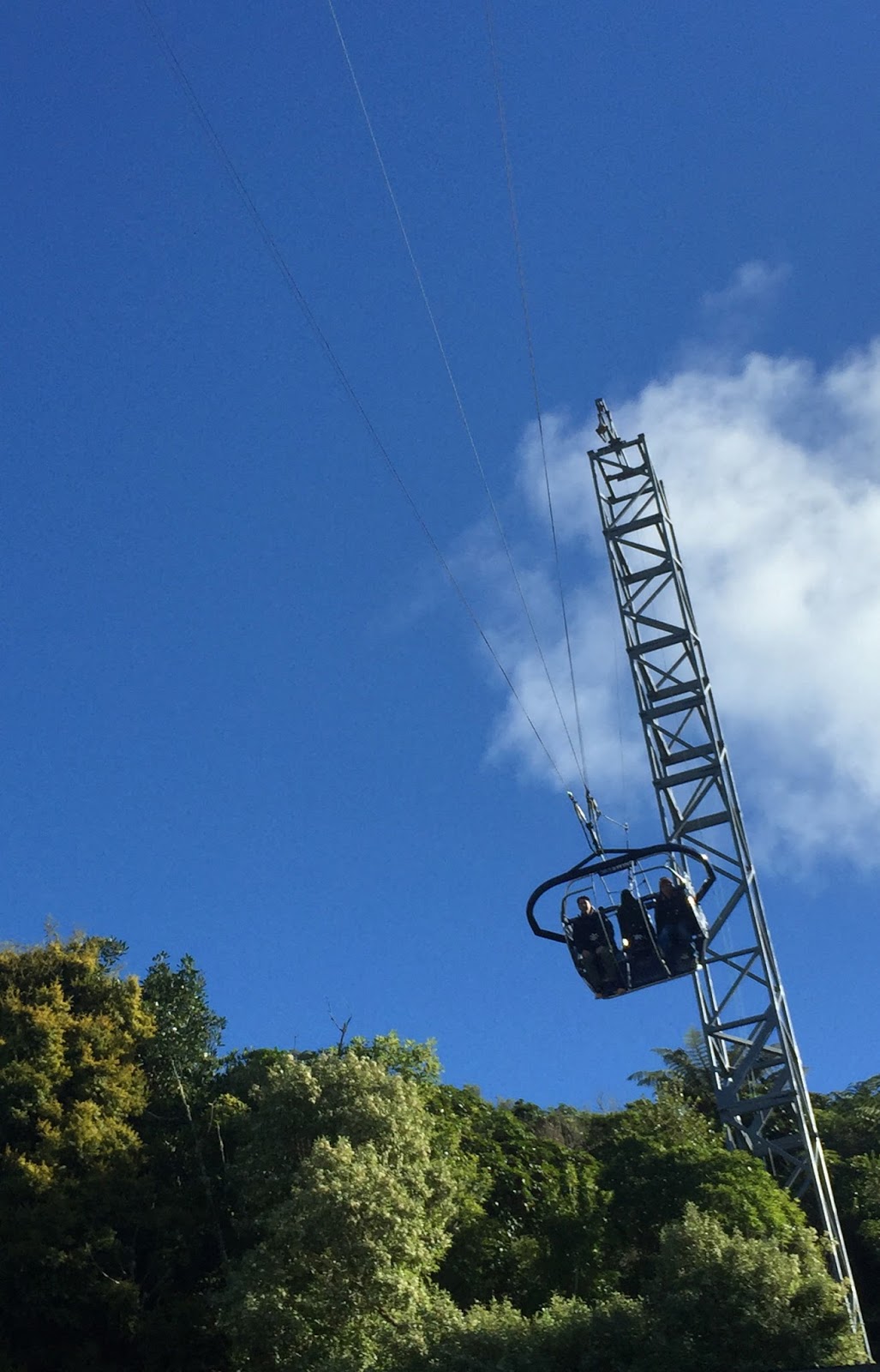 Tracey's Bucket List Adventures: The Skyswing Rotorua, New Zealand ...