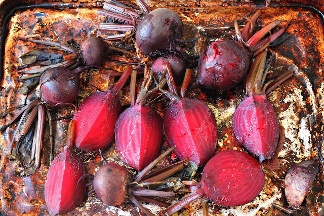 Milk and Honey: Roasted Beetroot with Whipped Ricotta and Pesto
